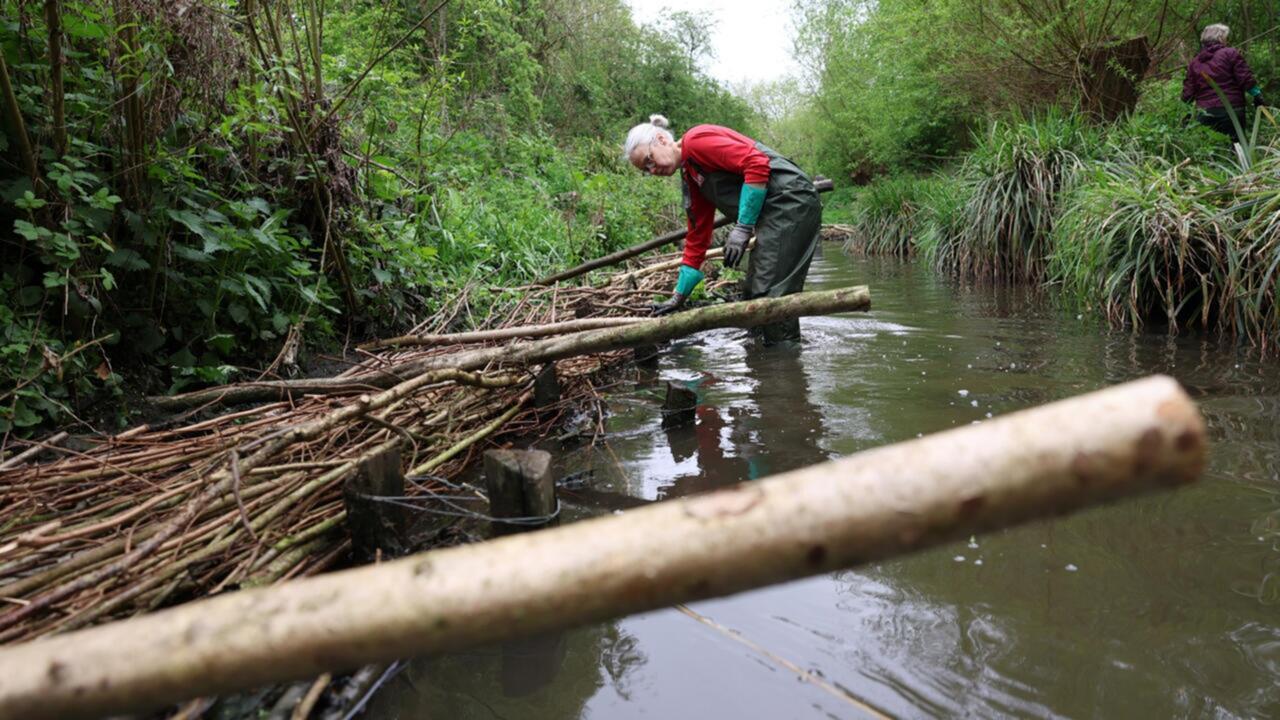 Mai multe orașe din Marea Britanie folosesc natura pentru a combate riscul tot mai mare de inundații